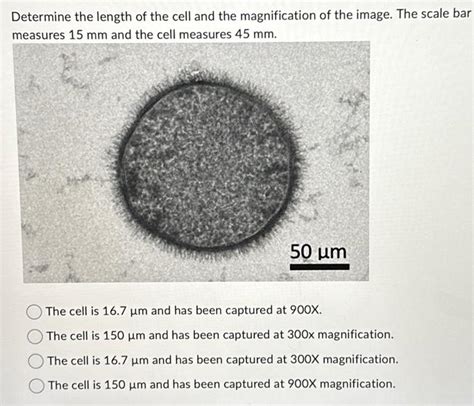 Solved Determine The Length Of The Cell And The