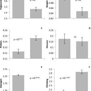 Effects Of Line Sex Exercise And Their Interactions On Metabolic And Download Table