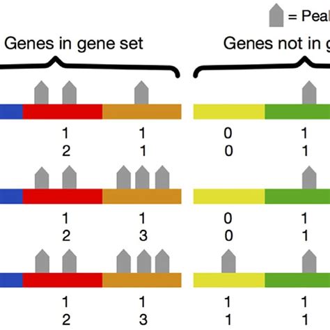 Three Scenarios Of Chip Seq Peak Distributions Illustrating How Download Scientific Diagram