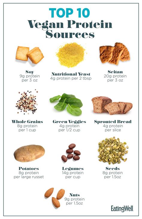 7 Day Healthy Vegan Meal Plan Beginner Friendly 49 Off