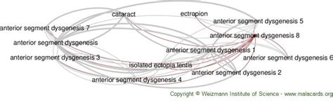 Anterior Segment Dysgenesis 8 Disease Malacards Research Articles Drugs Genes Clinical Trials