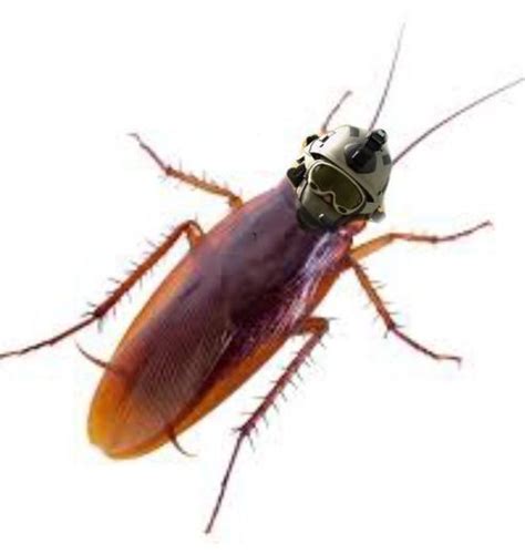 Ghost X Roach Cod Memes Call Of Duty Ghosts Call Of Duty Warfare