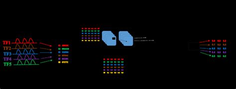 Training The Tf Agnet Models For Predicting Tfbs Intensities We Download Scientific Diagram