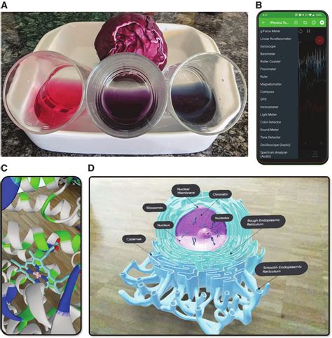 A Red Cabbage Based Ph Indicator Is Popular In Diy Activities For Download Scientific Diagram