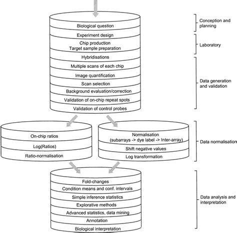 A Complete Microarray Project Workflow Within Our Laboratory Gti Is