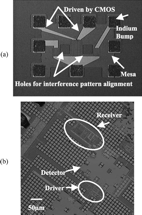A Fabricated Msm Based Wavelength Selective Photodetector For