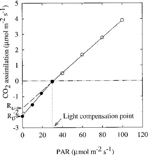 Representative Photosynthetic Light Response Curve Of X Strumarium At Download Scientific