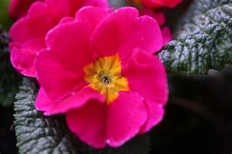 Sex MlÁdÍ ŽivotnÍ Energie Já