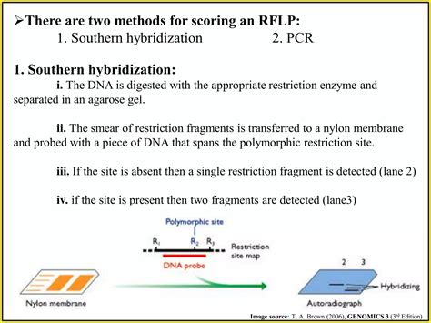 Gene Mapping Methodslinkage Maps And Mapping With Molecular Markers Pdf Genetics Science