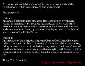 Only A Viewpoint The 28th Amendment