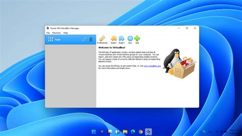 Windows 11 Virtual Box Visiongai