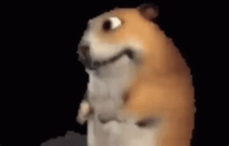 S De Animated Hamster Pictures Tenor
