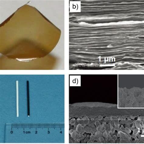 Strategies For Improving The Membrane Stability A Schematic Of The