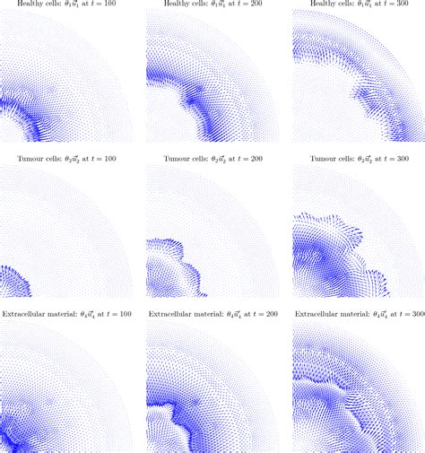 Figure 6 From Number 12 21 Multiphase Modelling Of Vascular Tumour Growth In Two Spatial