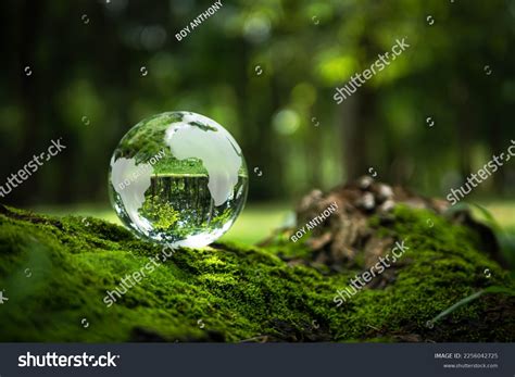 Co2 54889개가 넘는 로열티 프리 라이선스 대상 스톡 사진 Shutterstock