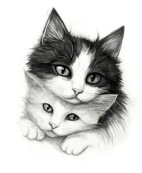 Two Cats Pencil Drawing