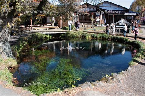 世界遺産 山梨県忍野おしの村 富士山と忍野八海 人工池・中池の紅葉 写真素材 909755 フォトライブラリー Photolibrary