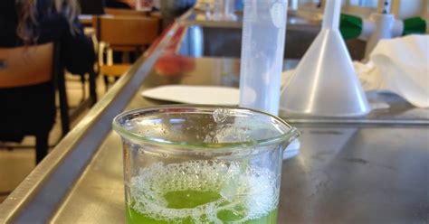 Kiwi Dna Extraction Lab At Robert Gratton Blog