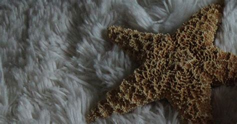 Ios Having Some Uitableviews And Some Uicollectionviews In A Single Screen Stack Overflow