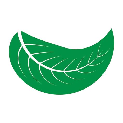 Premium Vector Leaf Nature Logo