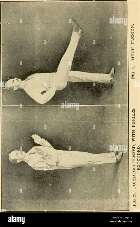Horizontal Axis On Body