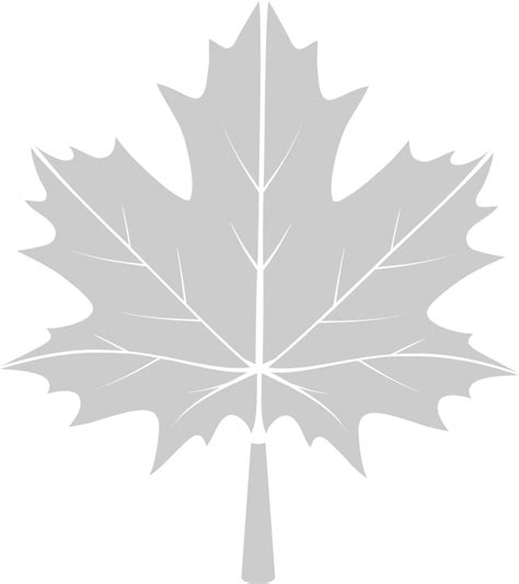 Maple Leaf 36656957 Vector Art At Vecteezy