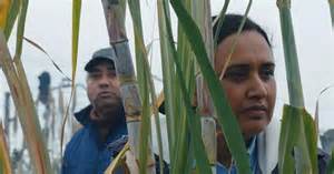 José Luis Guerín Compone Un Retrato Del Barrio Periférico De Vallbona Una Película Sobre La