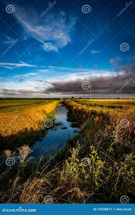 Fenland Landscape Stock Image Image Of Dead Drainage 75228871