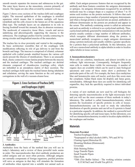 Solved I Need Help With Forming A Hypothesis With This Lab Chegg