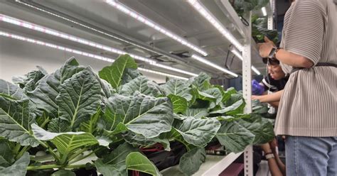 식물농업전자공학바이오공학” 미래 먹거리 문제 해결 나선다