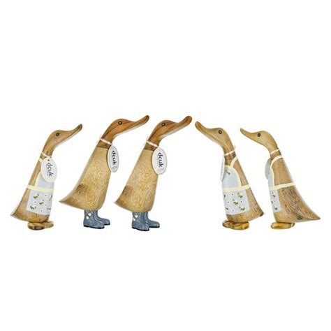 Buy Dcuk Ducklings Buzzy Ducks Assorted Potters Cookshop