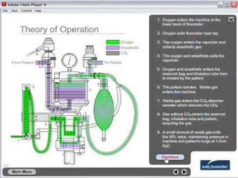 Image Result For Sheep Eye Anaesthesia Planes Vet Tech Babe Vet