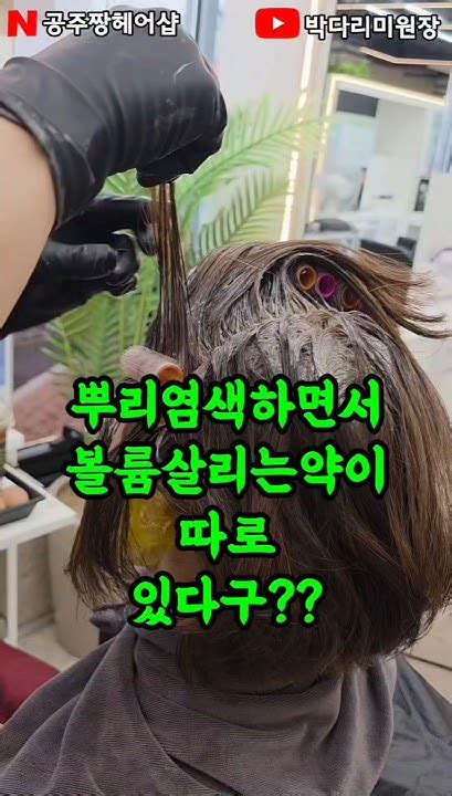 뿌리염색 뿌리볼륨 볼륨살리기 정수리볼륨 볼륨펌 뿌리살리기 공주짱헤어샵 울산미용실 헤어시 염색추천 볼륨고민끝 탄머리복구 미용실스타그램 정수리커버 헤어변신 리프팅펌 링거펌 박