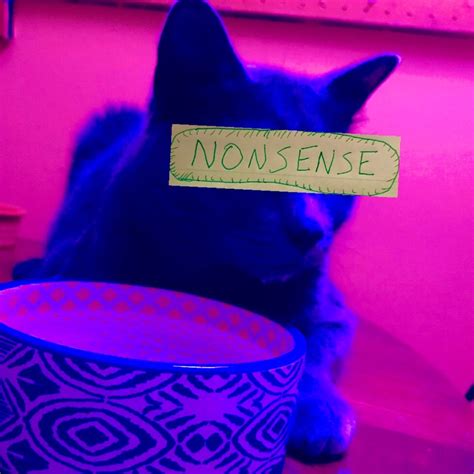 Catbreath Oops All Nonsense Reviews Album Of The Year