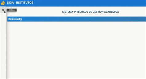 Interfaz De Usuario Manual