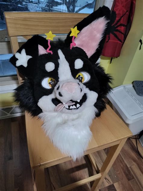 Black And White Border Collie Fursuit Partial On Hold Etsy