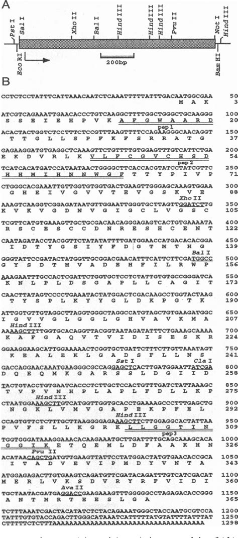 Figure 1 From Sequence Analysis Of A Mannitol Dehydrogenase Cdna From