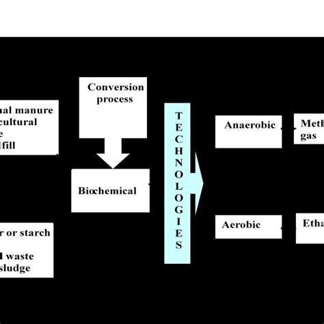 Biochemical Conversion Process Download Scientific Diagram