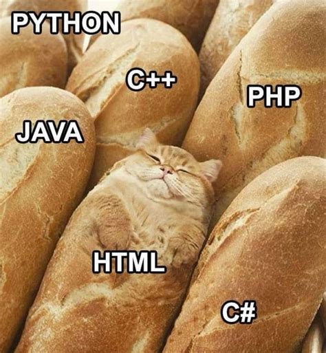 Programming Program Coding Code Programmingmemes Webdev Codingmemes Programmer Java