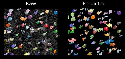 Visualize Cell Segmentation Performance — Bering Documentation Visualize Cell Segmentation Performance — Bering Documentation