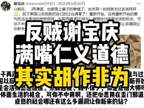 反贼谢宝庆逼逼别人不如审视一下自己？ 电子宠物物流中心 电子宠物物流中心 哔哩哔哩视频