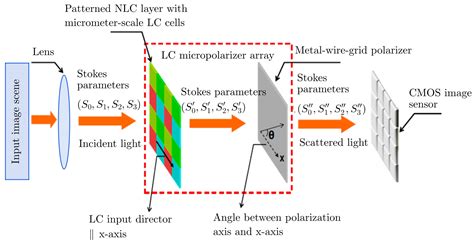 Crystals Free Full Text Optical Biosensing Of Polarized Light