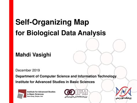Pdf Self Organizing Map For Biological Data Analysis