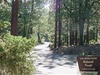 Summer Pineknot Campground
