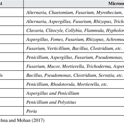 Microorganisms For Decomposition Of Various Litter Component Download Scientific Diagram