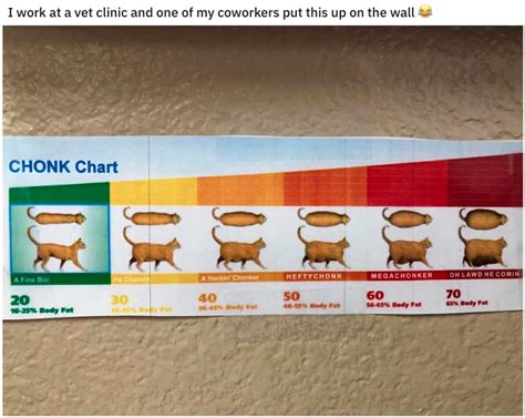Chonk Chart Chonk Oh Lawd He Comin Know Your Meme