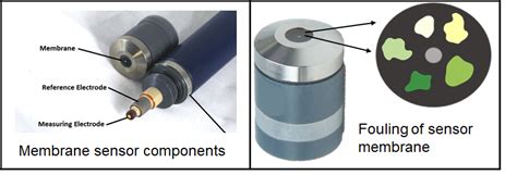 Membrane Sensors For Disinfection Measurements