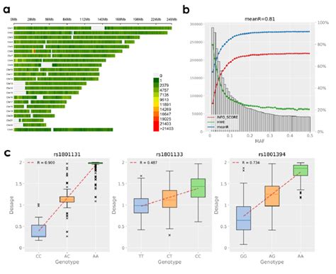 The Information On Imputed Genetic Variants Download Scientific Diagram