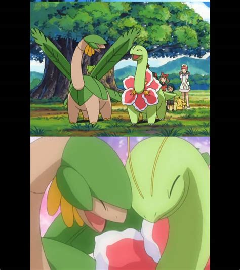 Pokemon Meganium X Tropius By Mdwyer5 On Deviantart
