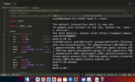 Malware Development Trick 45 Hiding And Extracting Payload In Pngs With Cats Simple C